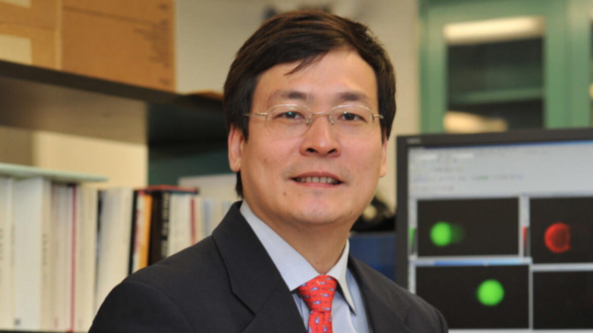 Distinguished Speaker: X. Edward Guo; Chair and Stanley Dicker Professor of Biomedical ...